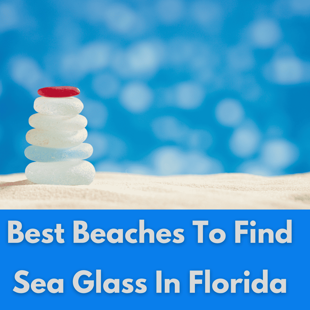 7 Best Beaches to Find Sea Glass in Florida (Your Ultimate Guide)